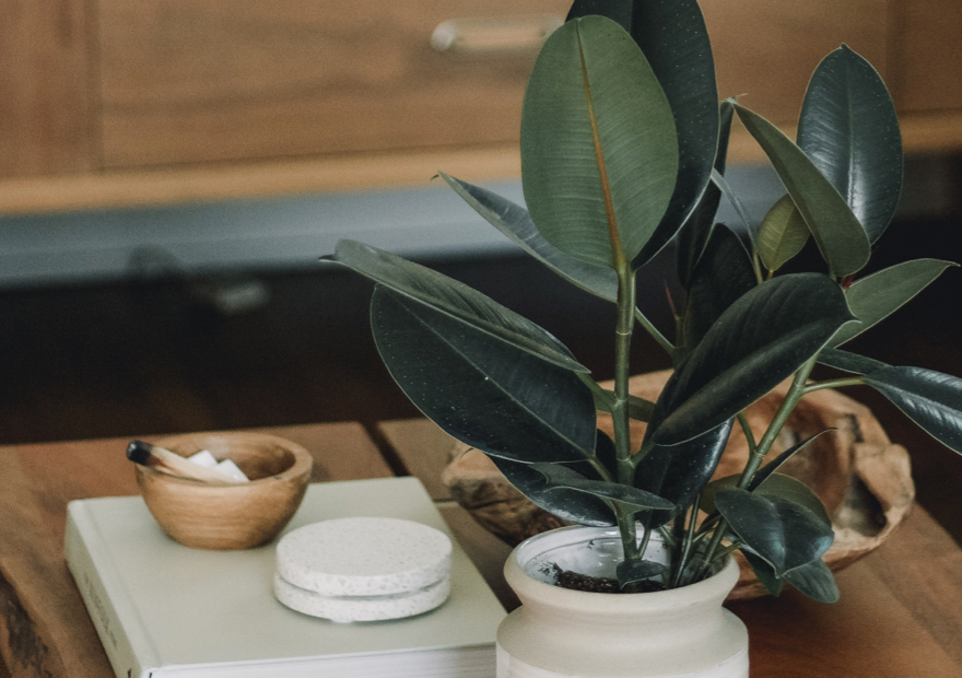 Living options - Bowden