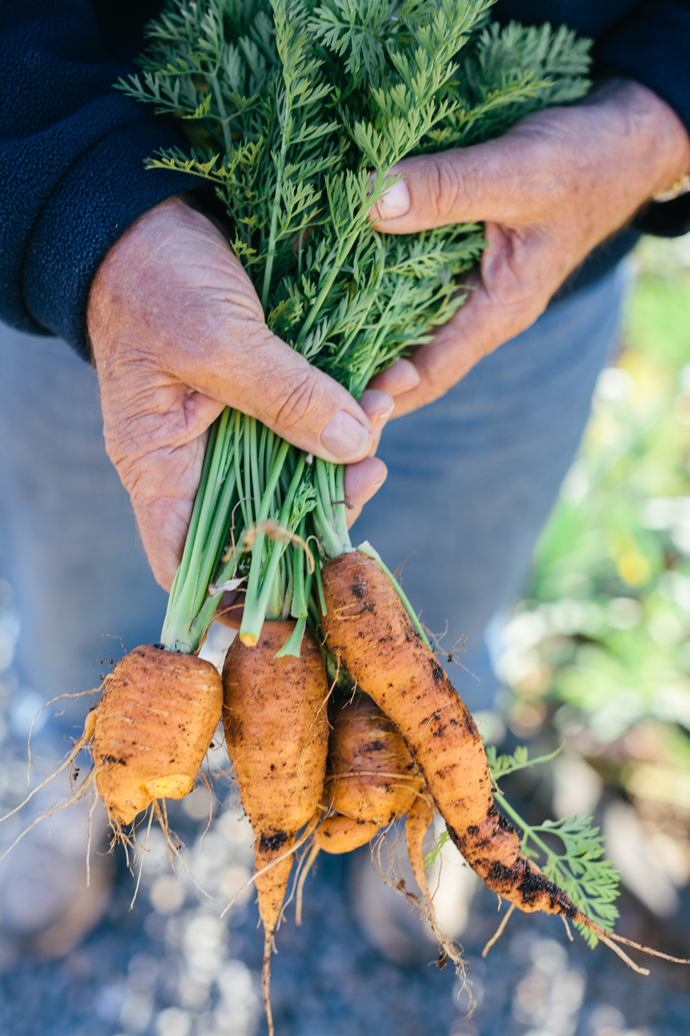New phase for community foodies with Uniting Care Wesley Bowden - Bowden